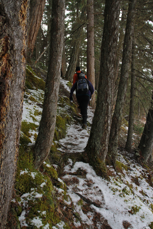 Little Lost Lake Elevation – Hike Valemount