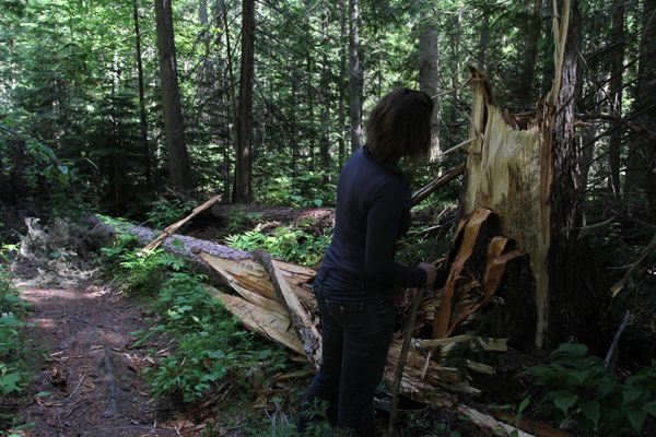 Little Lost Lake Trail photo 2014 (60) – Hike Valemount