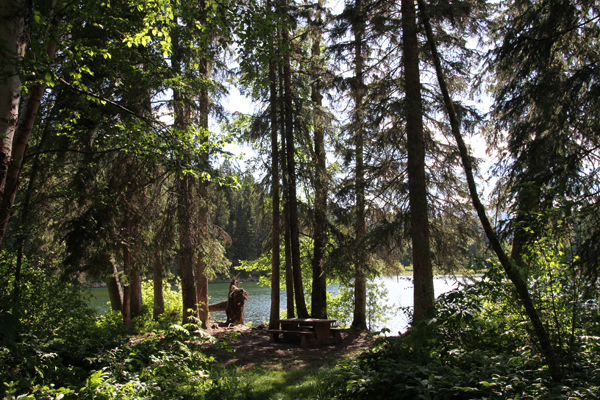 Little Lost Lake Elevation – Hike Valemount