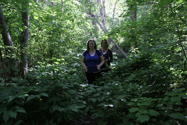 Little Lost Lake Trail photo 2014 (60) – Hike Valemount