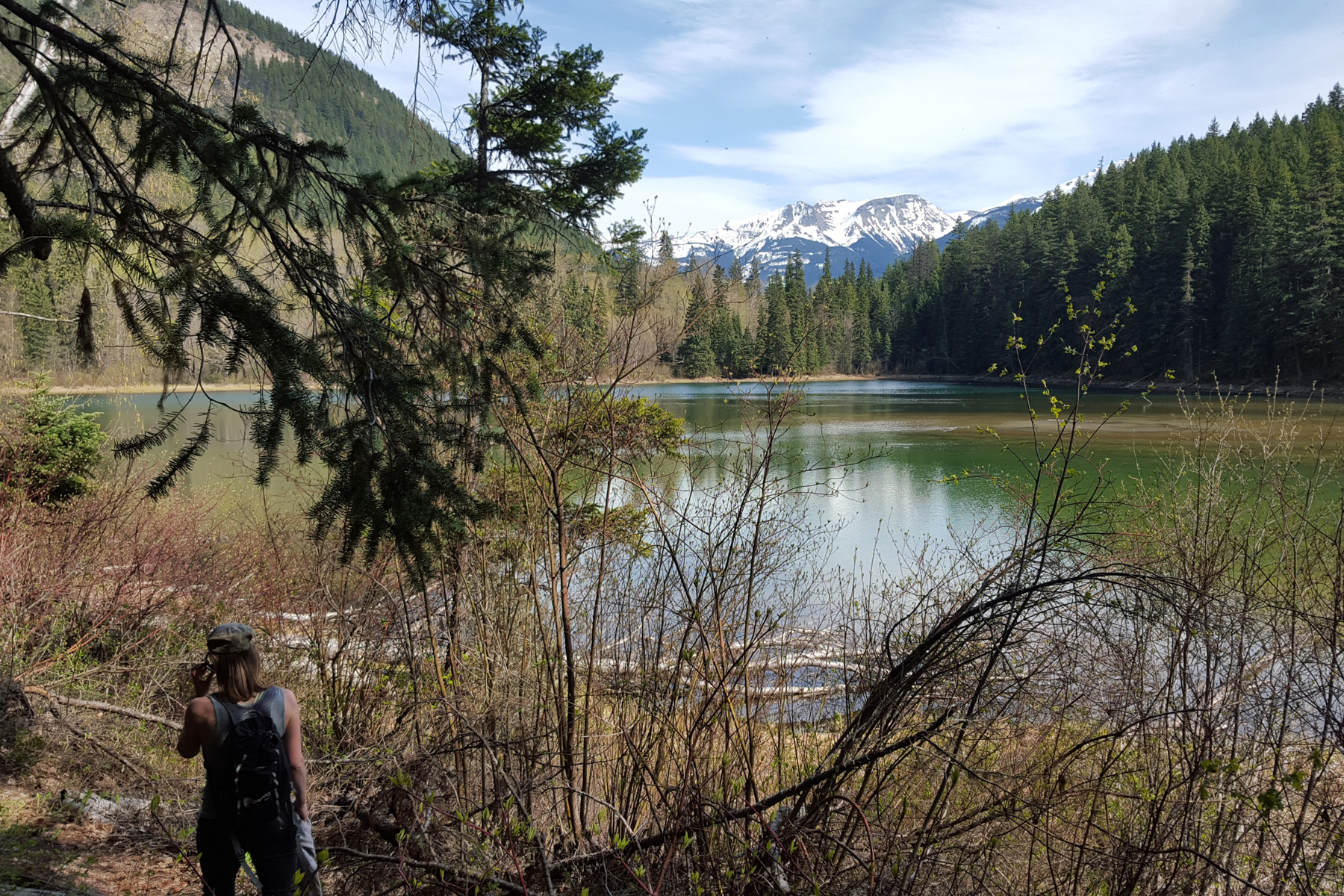 Little lost lake valemount trail hike (15 web) – Hike Valemount