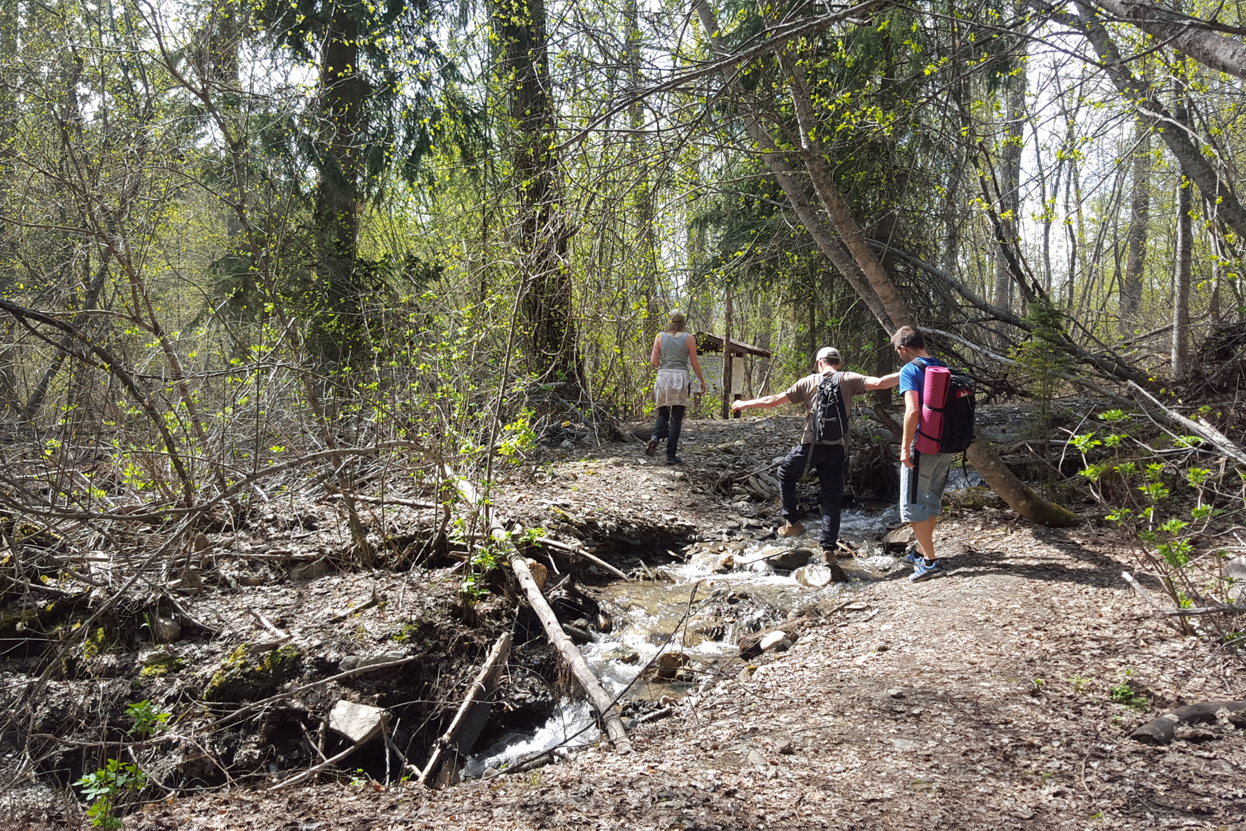 Little lost lake valemount trail hike (2 web) – Hike Valemount