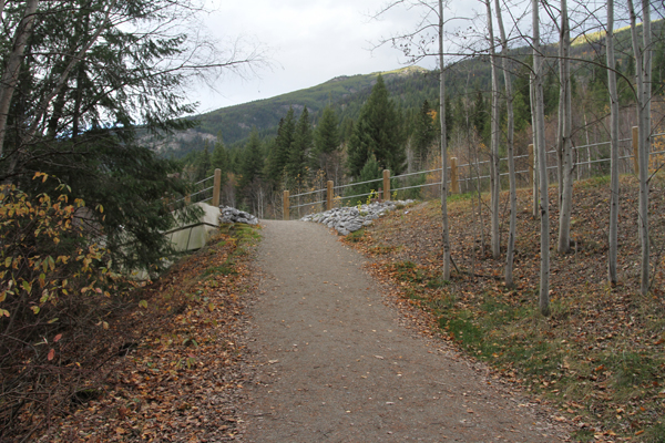 Rearguard elev – Hike Valemount