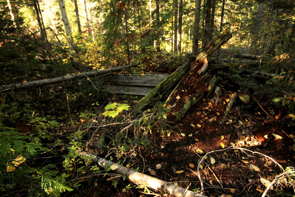 Overlander Falls – Hike Valemount